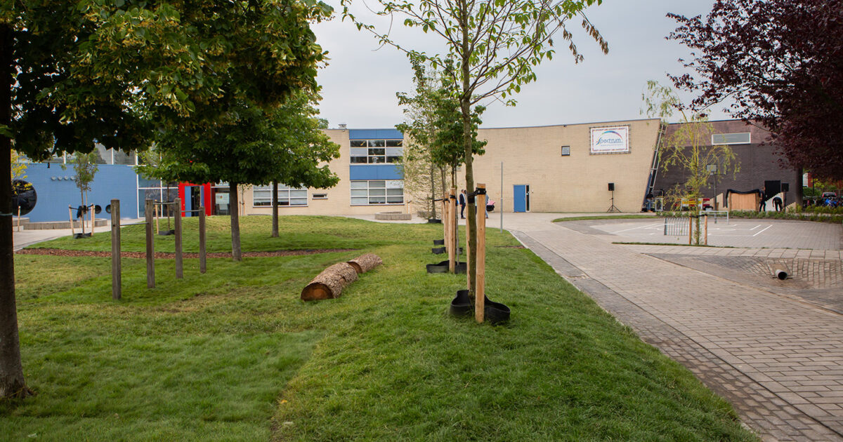 Dusseldorp | Vergroenen schoolplein OBS het Spectrum Almere